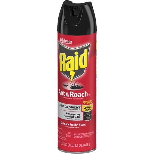 Raid Ant/Roach Killer Spray (669798CT) | OfficeCrave.com