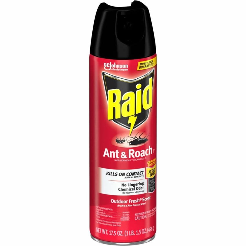 Raid Ant & Roach Killer Spray Spray - Kills Cockroaches, Ants ...