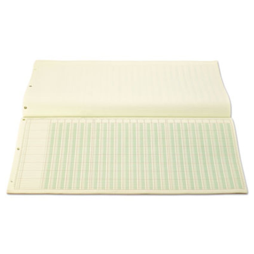 Wilson Jones Accounting Pad, 25 Six-Unit Columns, 11 x 24 1/4, 50-Sheet ...