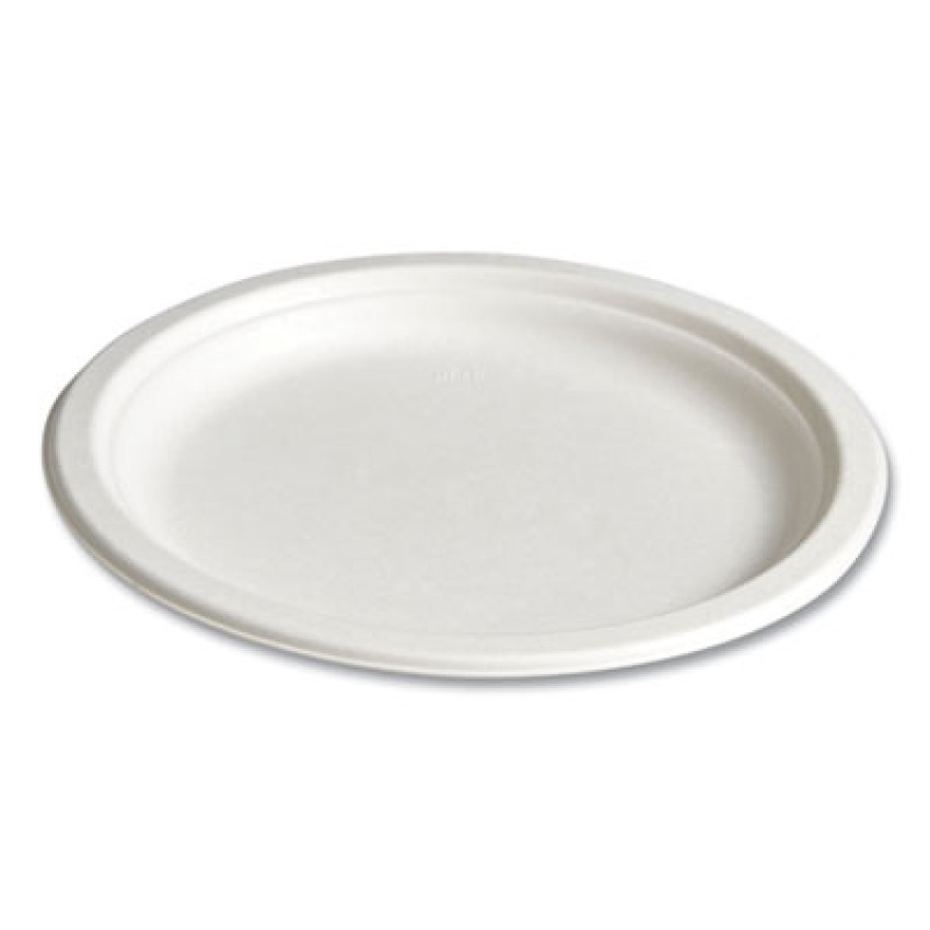 Perk Compostable Paper Plates, Bagasse, 9" dia, White, 250/Pack (24394010)