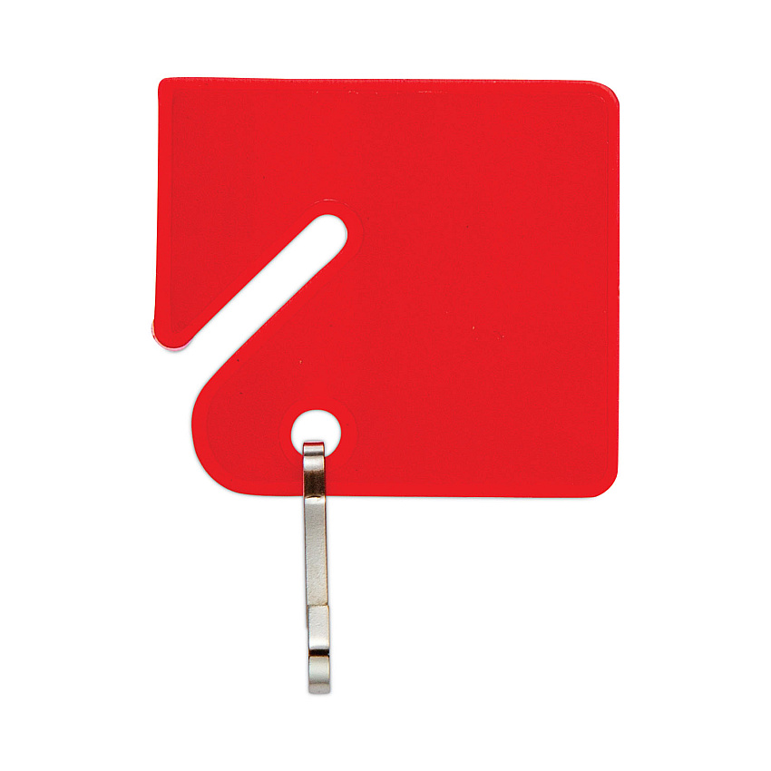CONTROLTEK Key Tags, Blue/Green/Red/Yellow, 20/Pack, 3 Packs/Carton ...