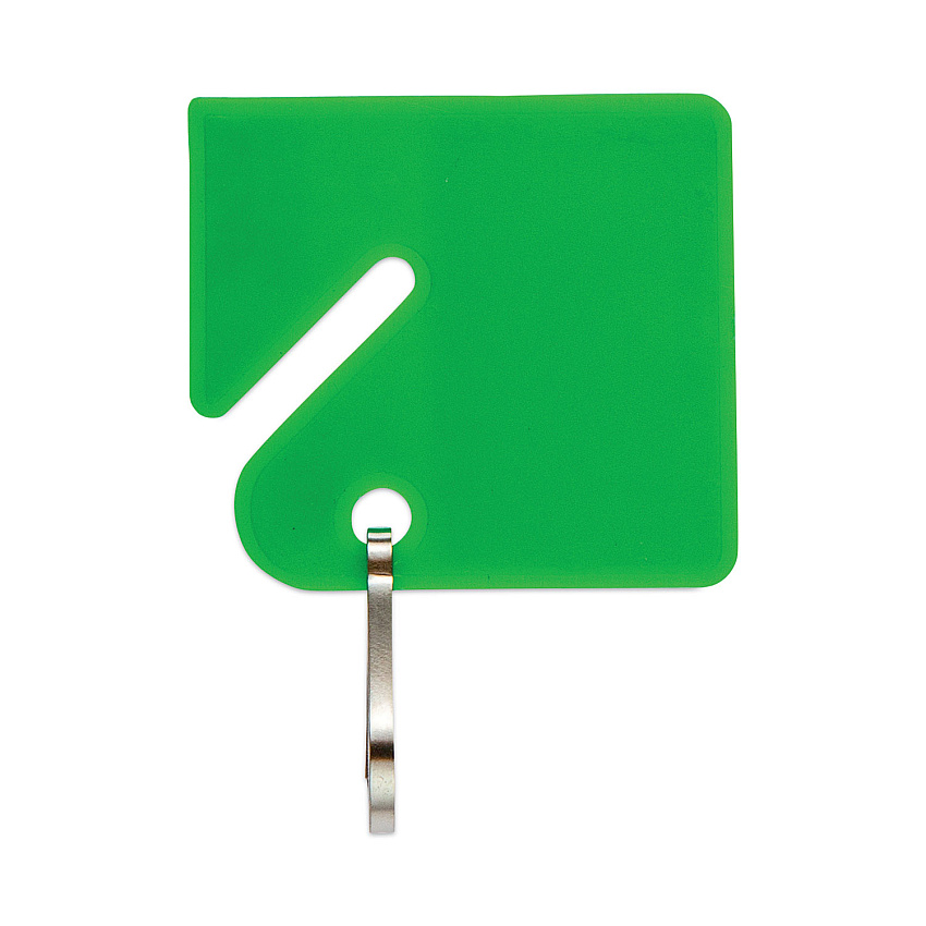 CONTROLTEK Key Tags, Blue/Green/Red/Yellow, 20/Pack, 3 Packs/Carton ...