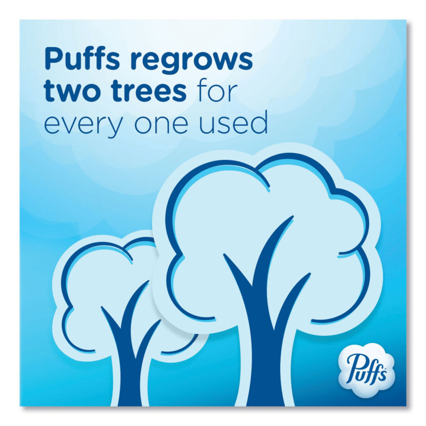 Puffs Ultra Soft Facial Tissue, 2-Ply, White, 124 Sheets/Box, 6 Boxes ...