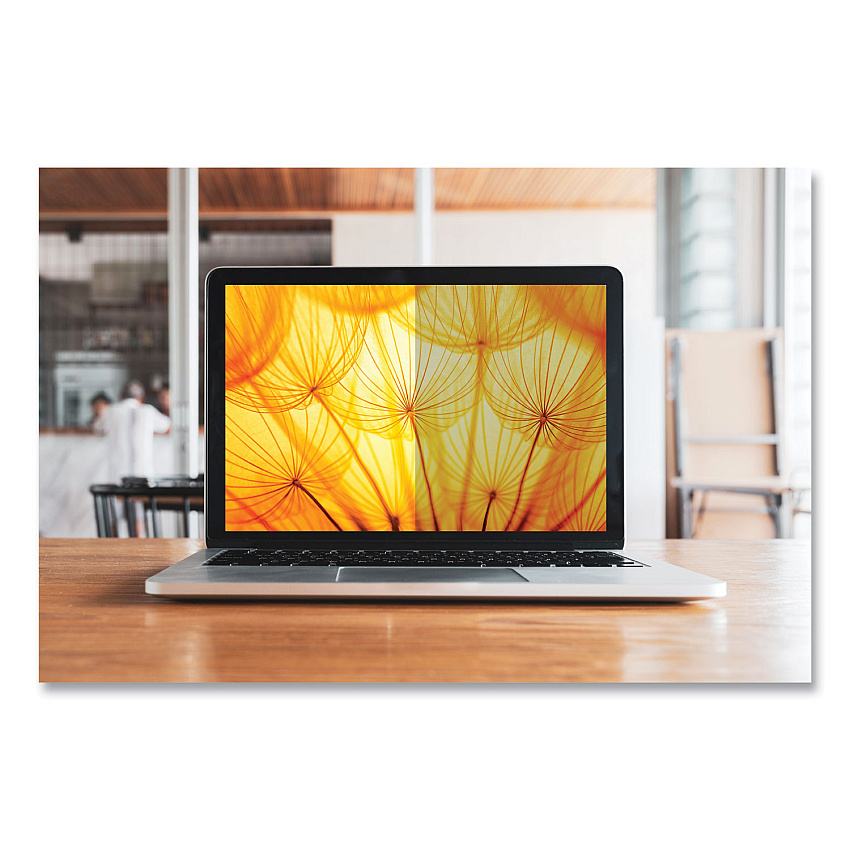 3M Bright Screen Privacy Filter for 14" Full Screen Widescreen, Fits ...