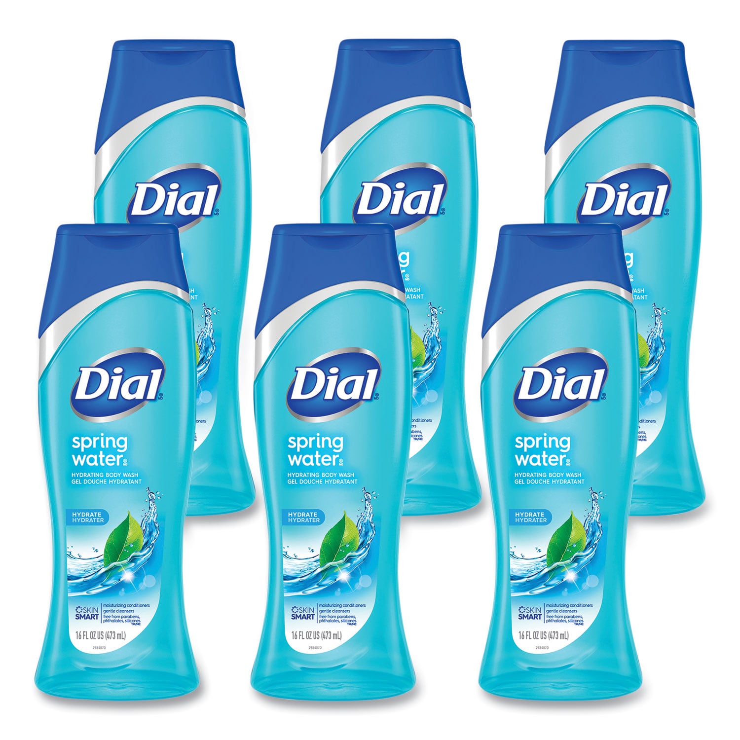 Dial Spring Water Body Wash, Spring Water Scent, 16 oz, 6/Carton (02653 ...